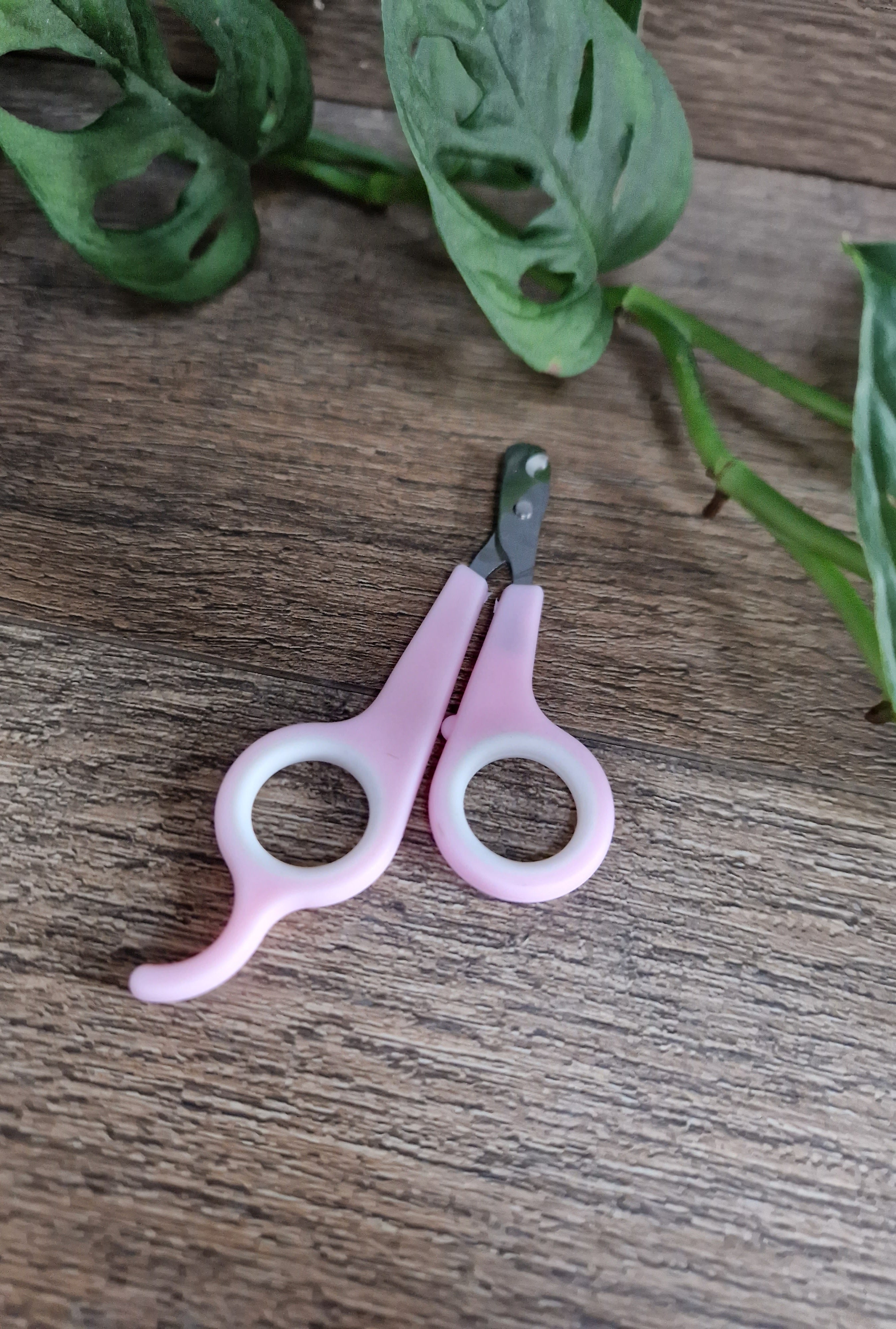 Coupe griffes – Le monde d'Hava